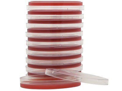 Prepared Media Tryptic Soy Agar (TSA) with 5% Sheep Blood Red Petri Pl ...
